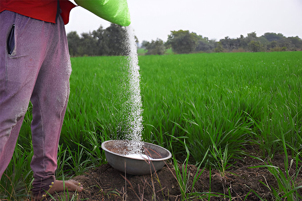 The Importance of Organic Fertilizers in Sustainable Agriculture - APEX ...